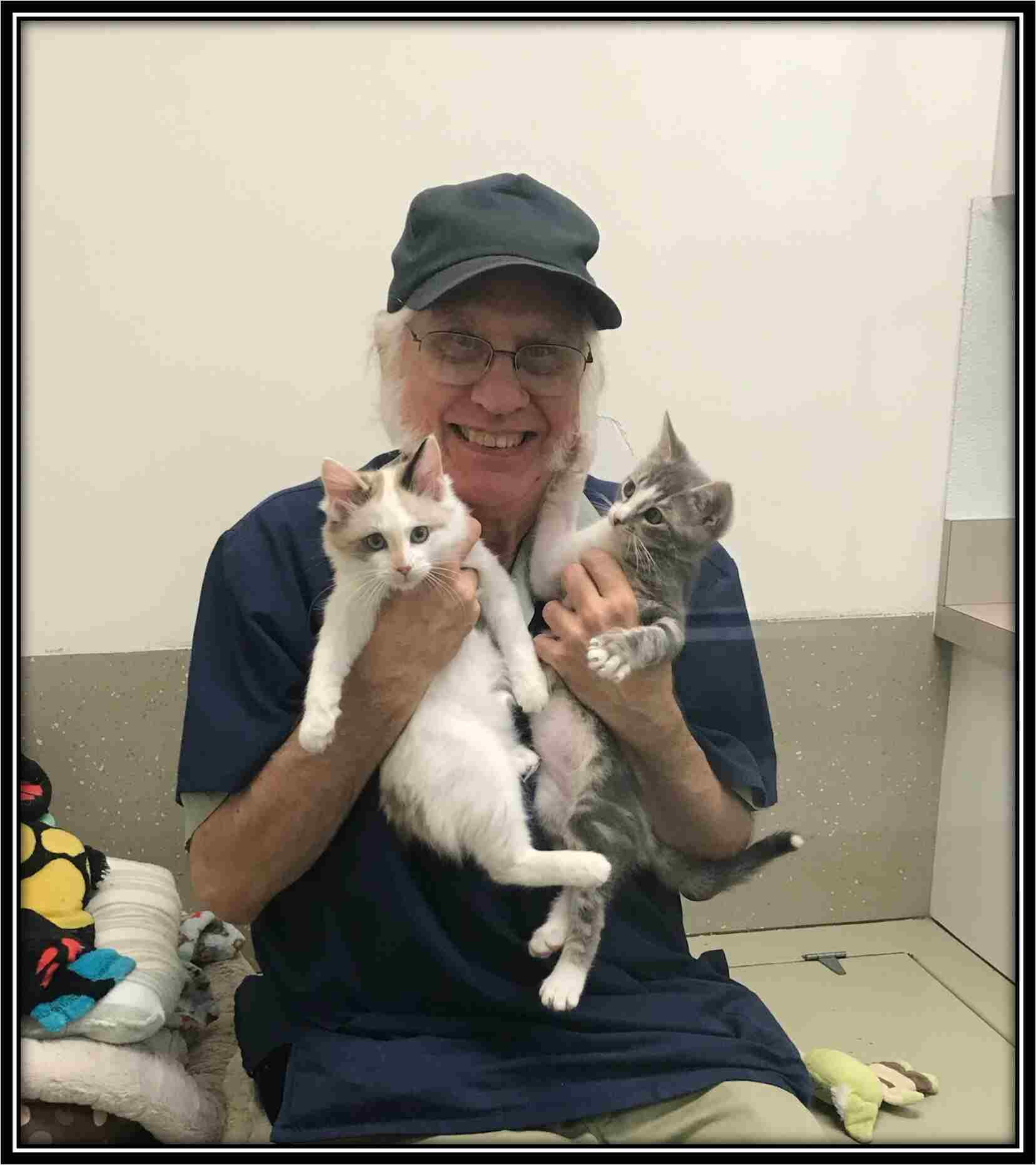 Employment Opportunities - Animals In Distress